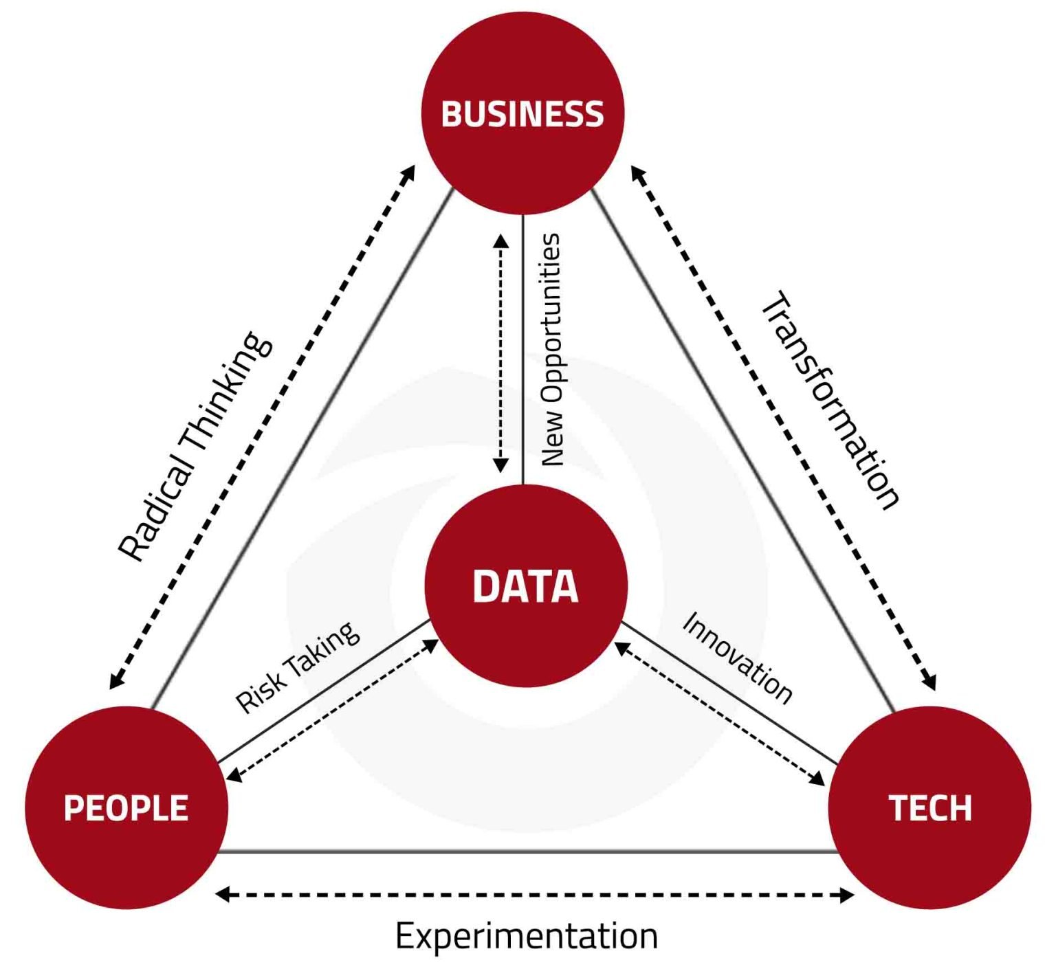 What is the Triangle of Digital Transformation?